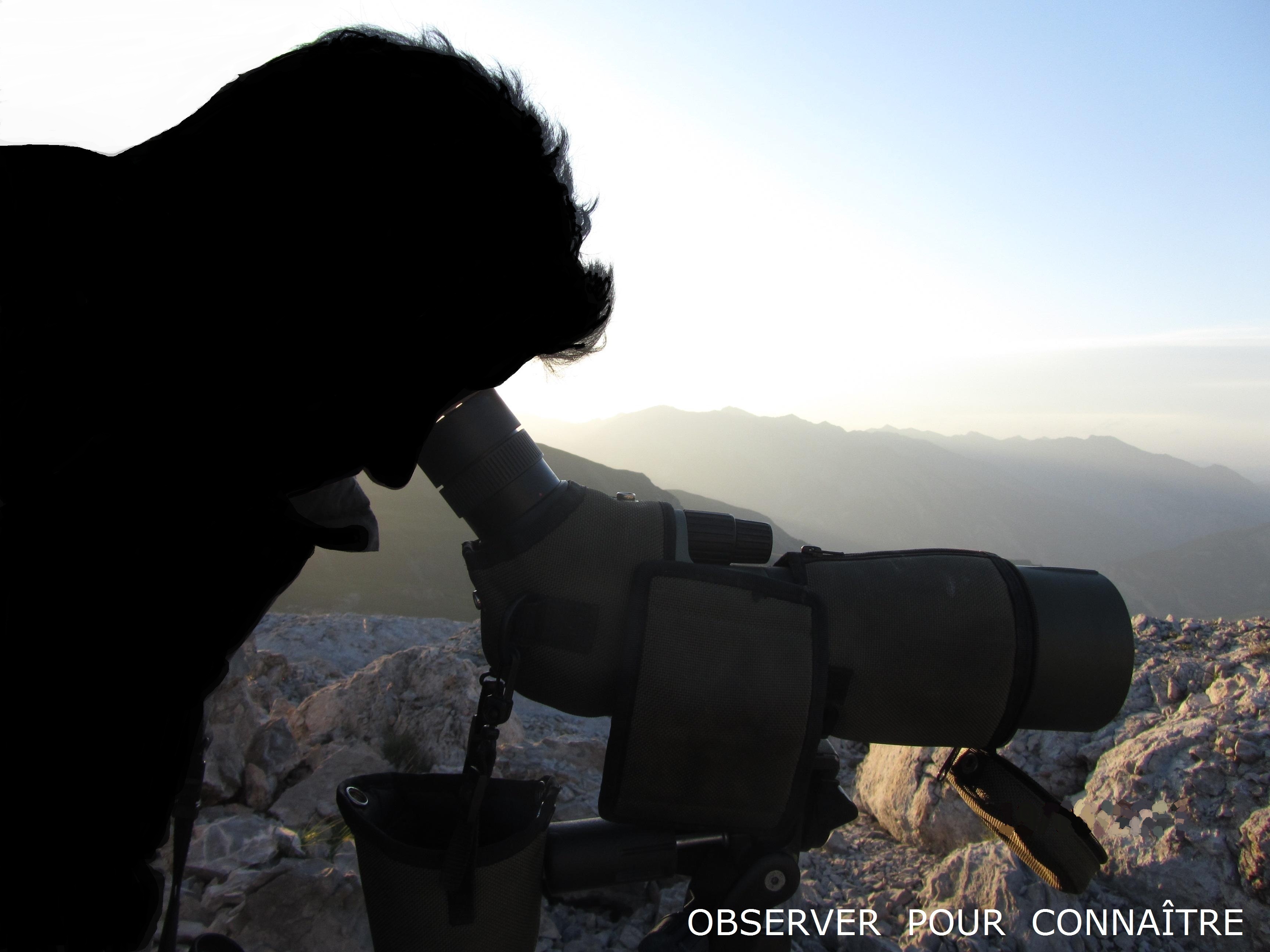 Rejoignez la liste des Observateurs Indépendants de la Prédation - FERUS