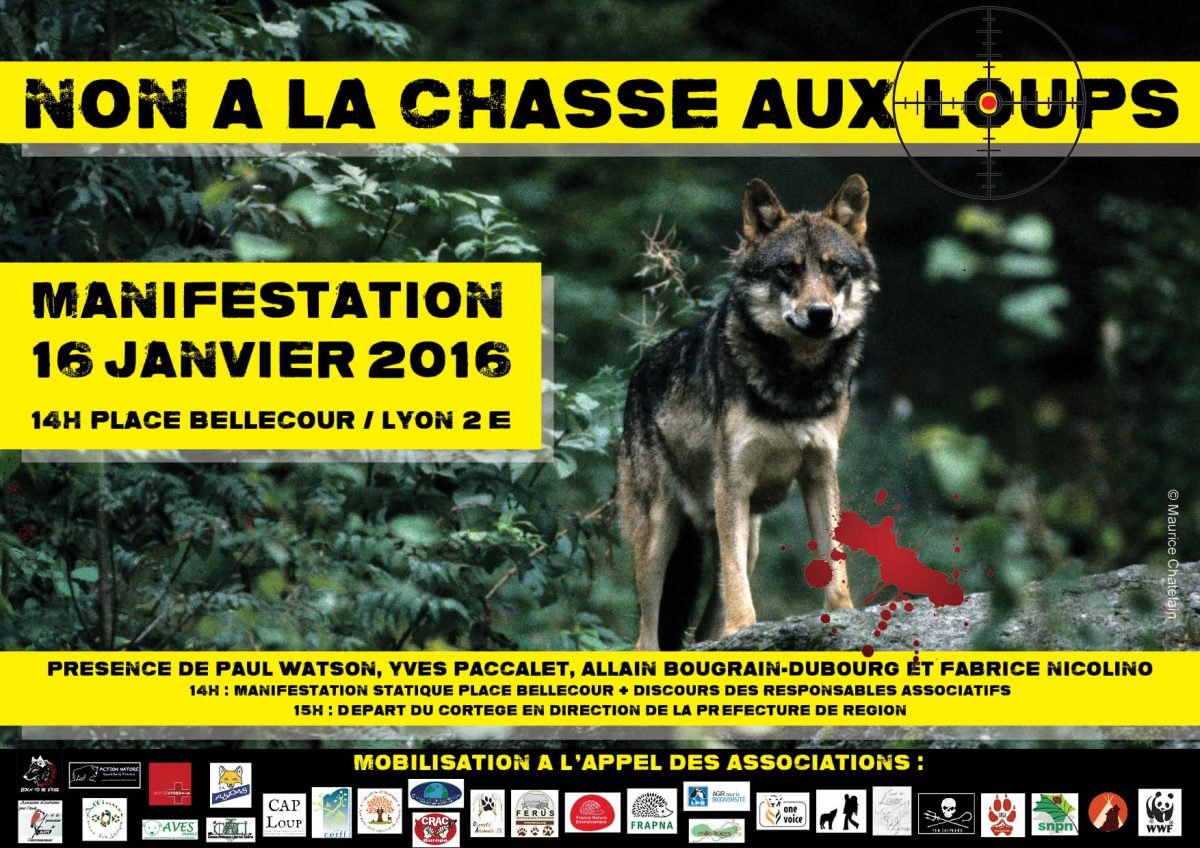 Grande manifestation contre la chasse aux loups le 16 janvier à Lyon ...