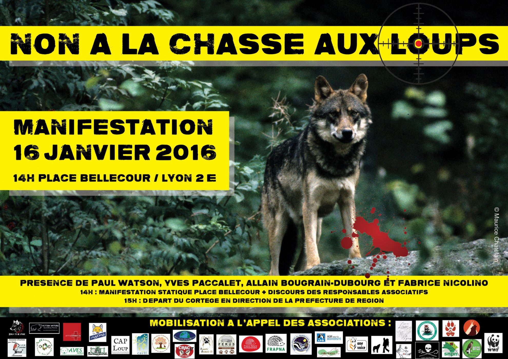 Aujourd'hui, grande manifestation pour le loup à Lyon ! - FERUS