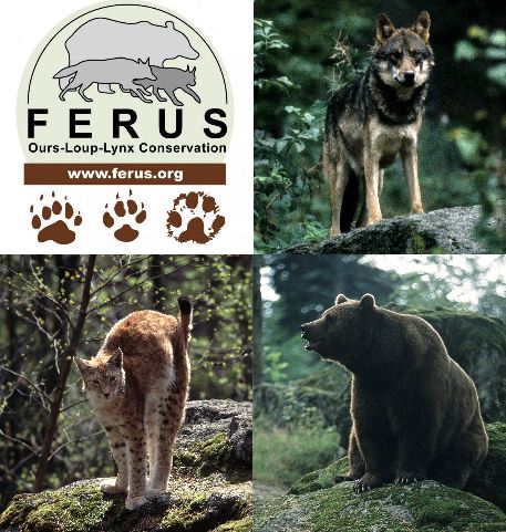 En 2018, rejoignez-nous et adhérez à FERUS ! - FERUS