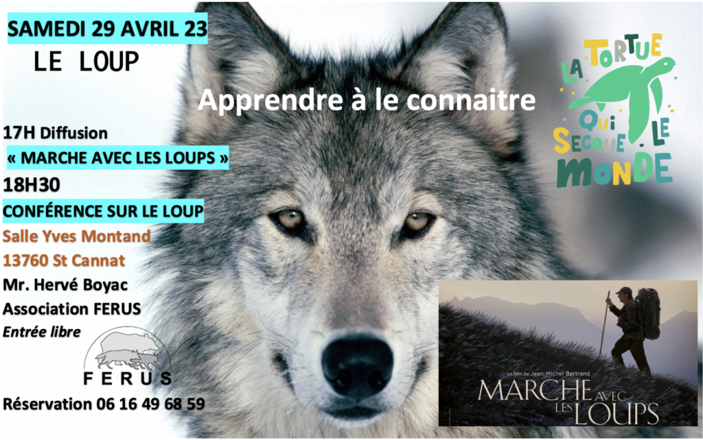 Film et conférence loup le 29 avril dans les Bouches-du-Rhône - FERUS